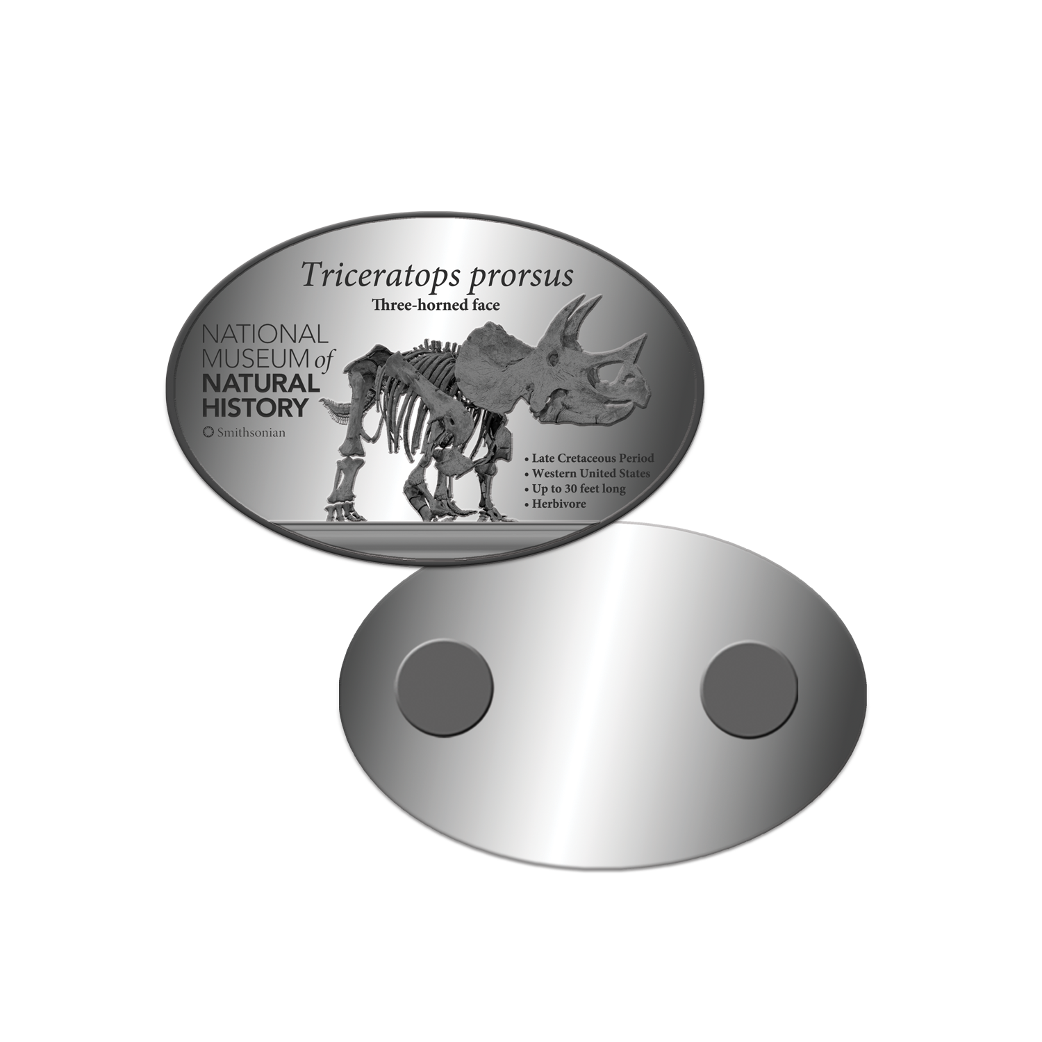 Magnet Metal Prehistoric Titans Sculpted Oval Triceratops ...